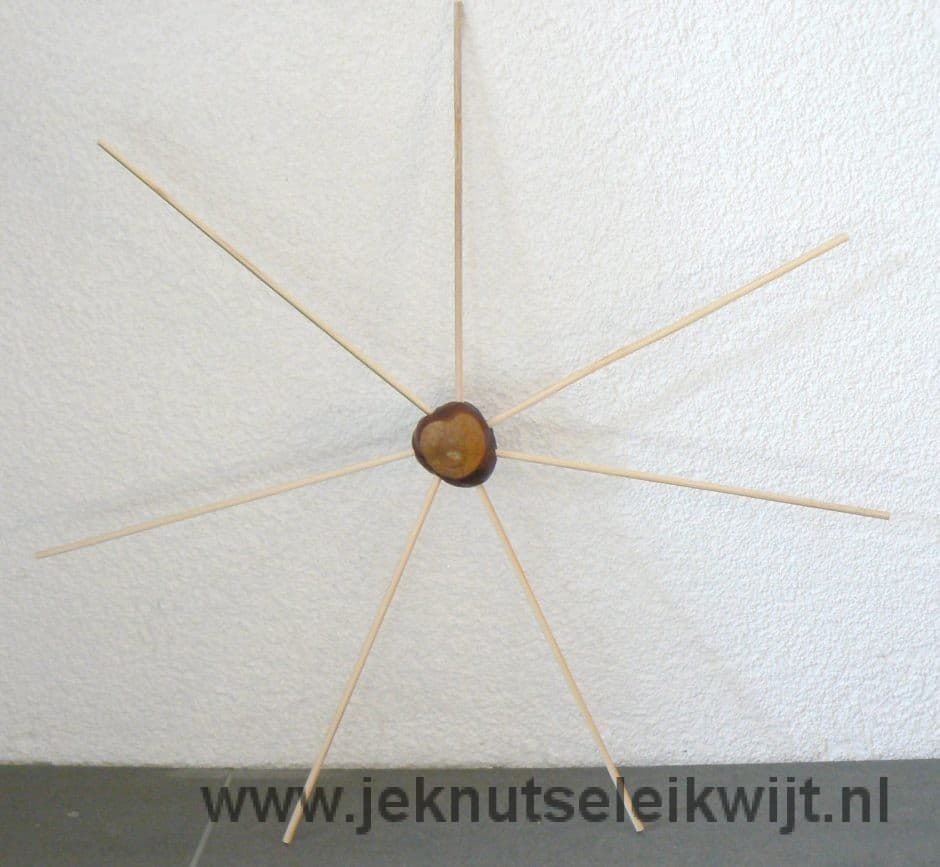 herfst kastanje spinnenweb | Knutsel ideeën voor kinderen