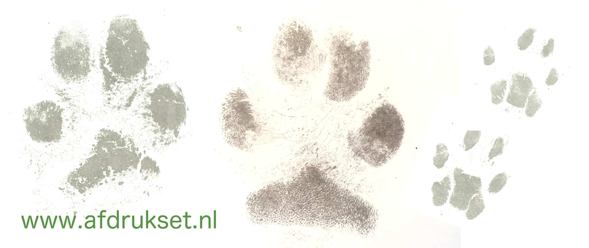 Hondenpoot afdruk maken | Knutsel ideeën voor kinderen
